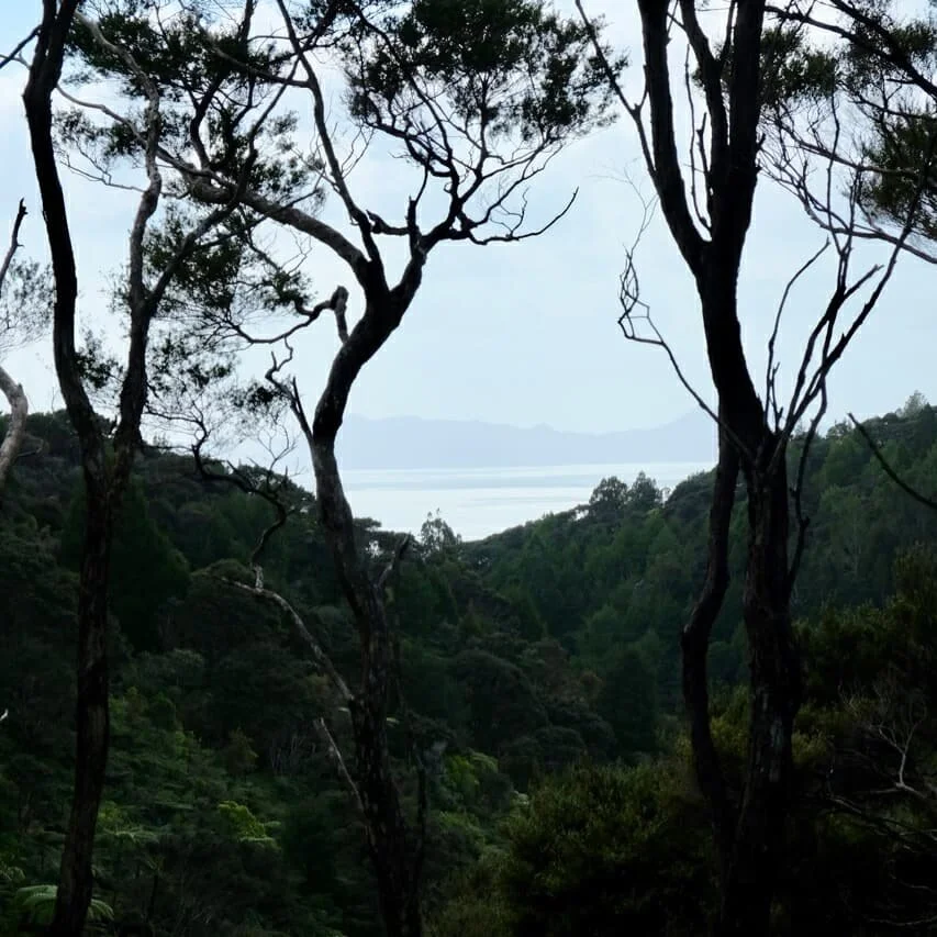 Studio North Landscape Ecology