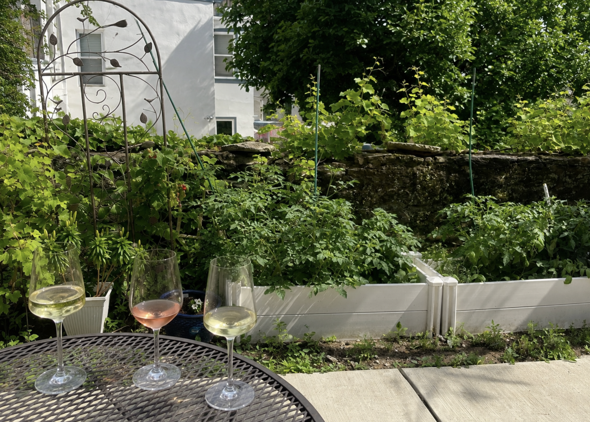 Unexpected Garden Pairings This Year — Michele Gargiulo