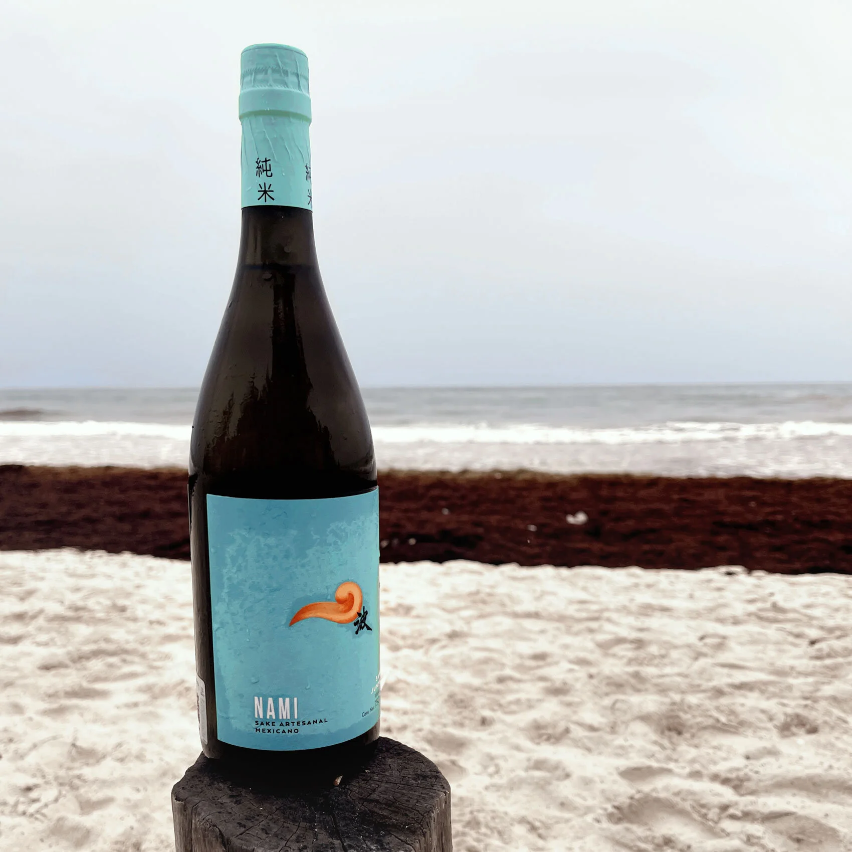 All eyes on : Nami Sake! — Distrito Panamera