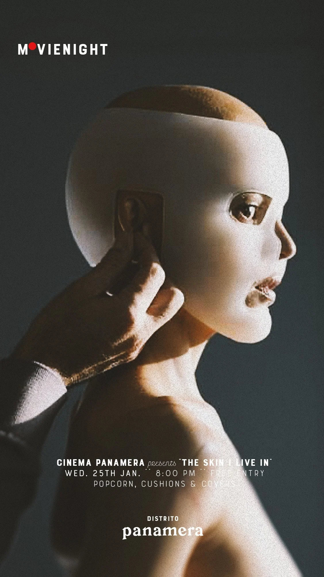 The Skin I Live In Poster