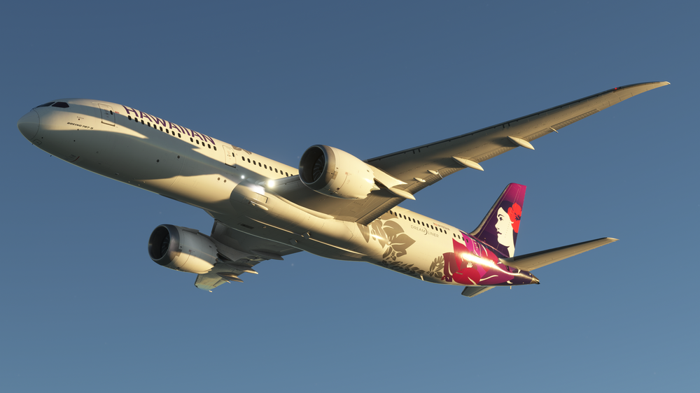 Dreamliner Boeing 787-9 "Bravoniner" — BRAVOAIRSPACE FLIGHT SIMULATOR ...