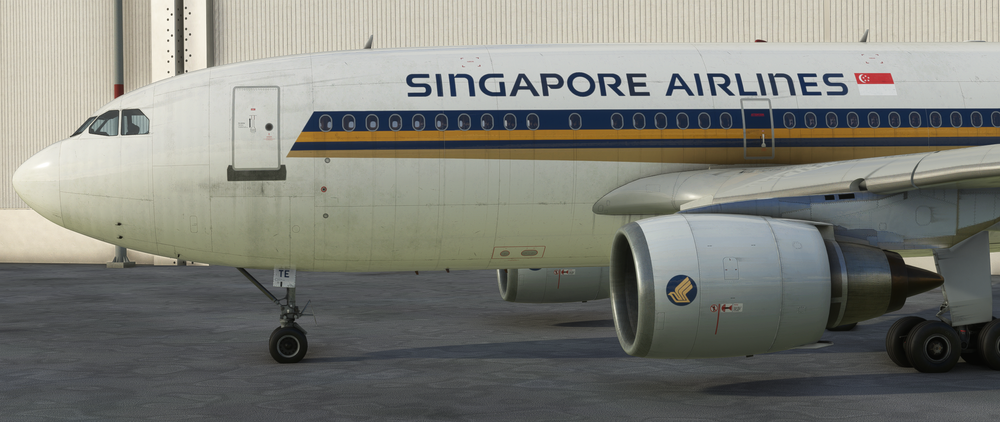 A310 LIVERIES FOR MARKETPLACE XBOX USERS — BRAVOAIRSPACE FLIGHT ...