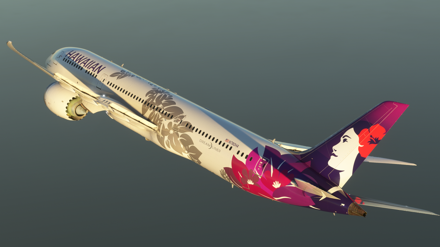 Dreamliner Boeing 787-9 "Bravoniner" — BRAVOAIRSPACE FLIGHT SIMULATOR ...