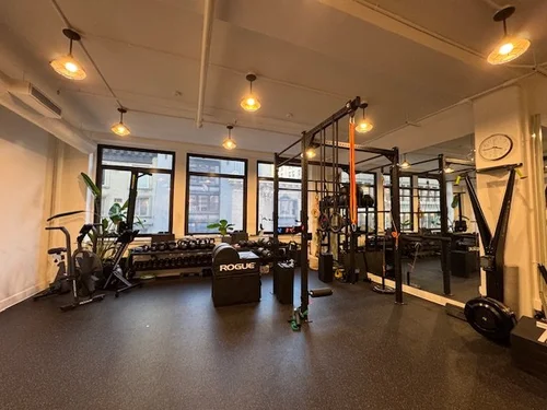 Can You Change Your Muscle Fiber Type? What Twin Studies and Cutting ...