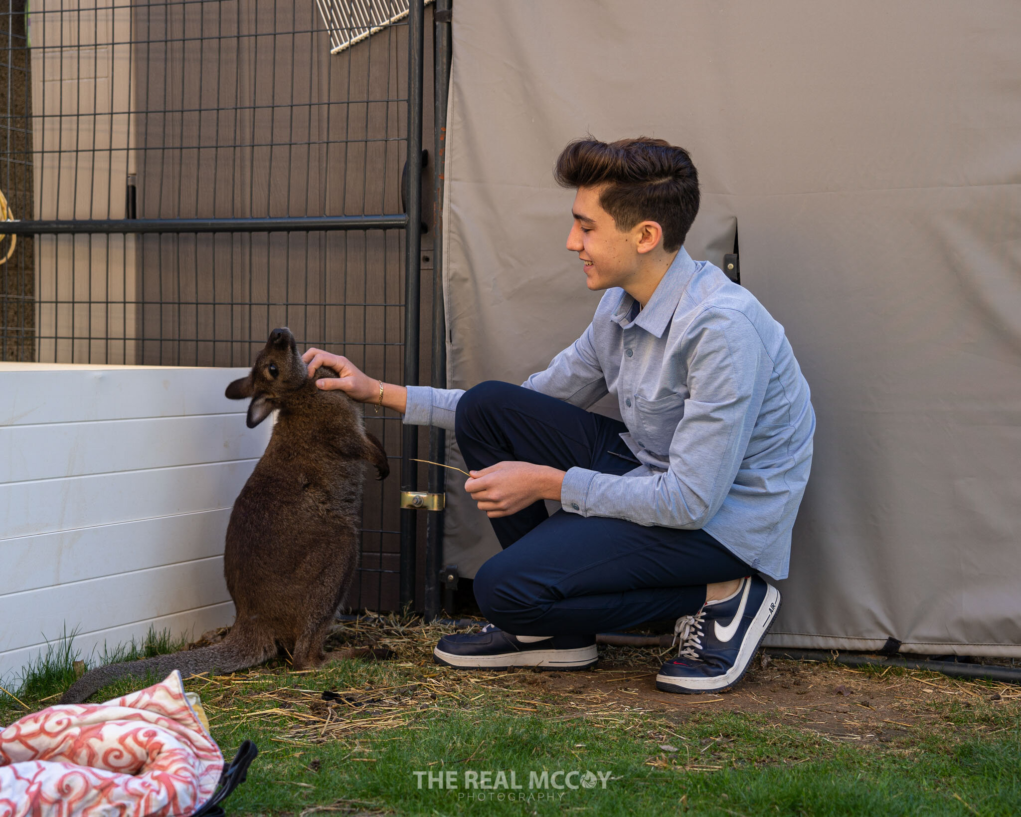 The Dylan Capshaw Wildlife Foundation and The Tucson Dog Magazine Shoot ...