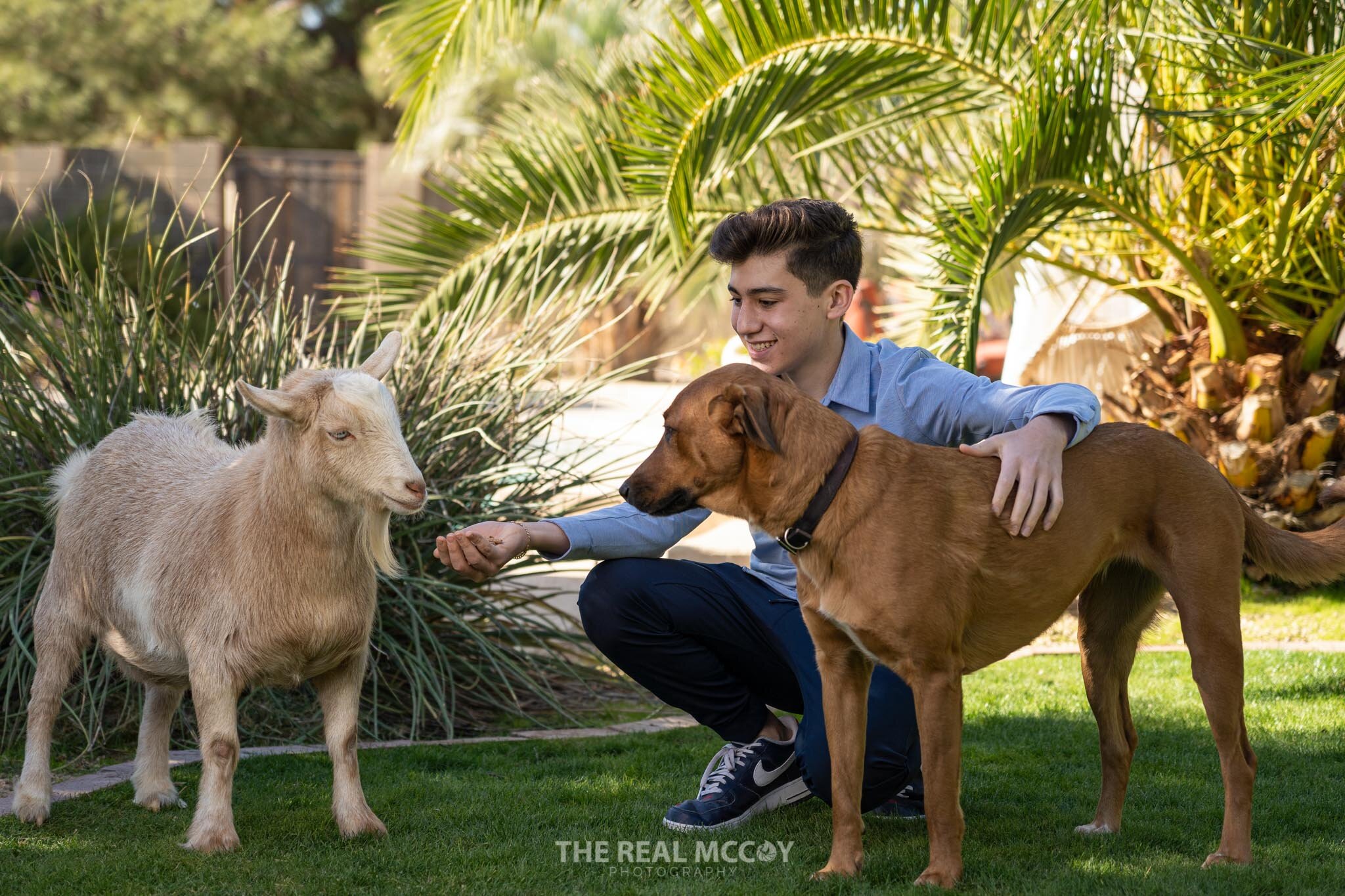The Dylan Capshaw Wildlife Foundation and The Tucson Dog Magazine Shoot ...