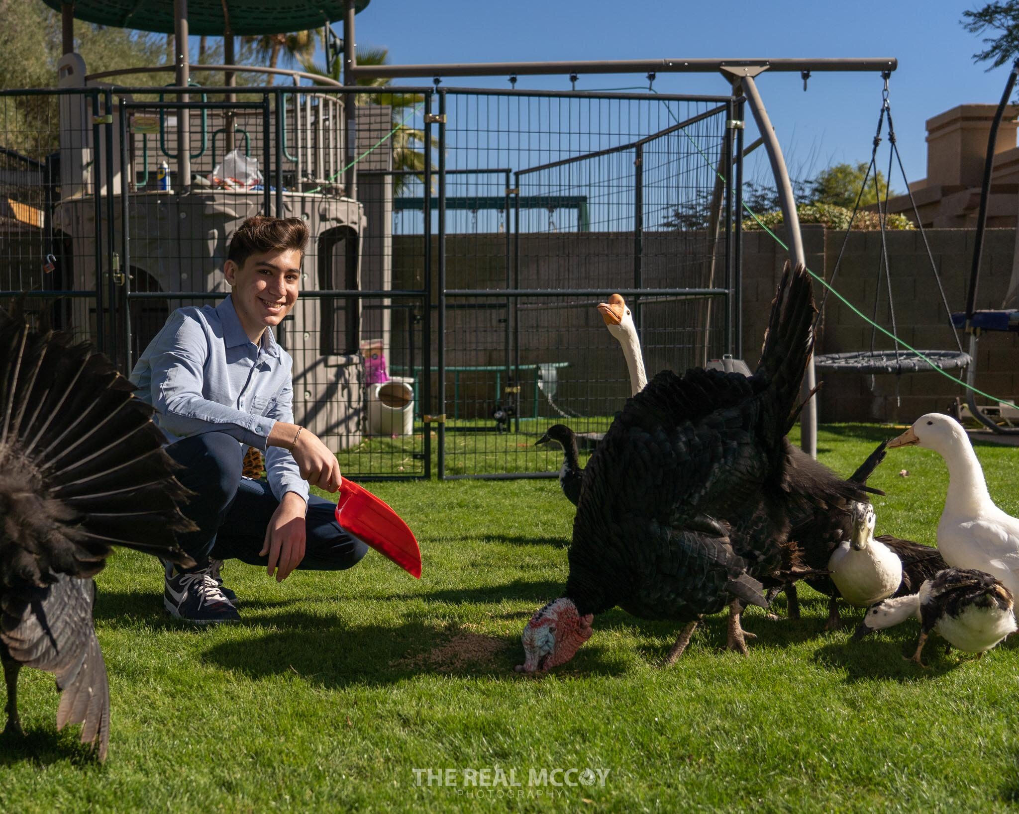 The Dylan Capshaw Wildlife Foundation and The Tucson Dog Magazine Shoot ...