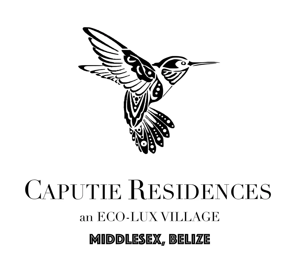 A Paradigm of Sustainability and Luxury: Caputie Residences Unveils in ...