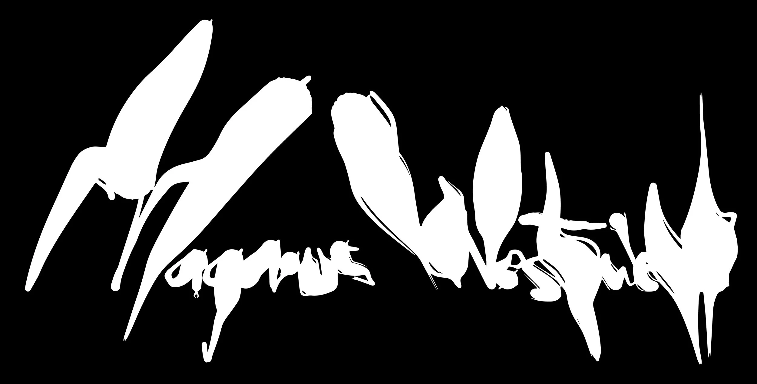 Magnus Westwell | Bright Storm Group