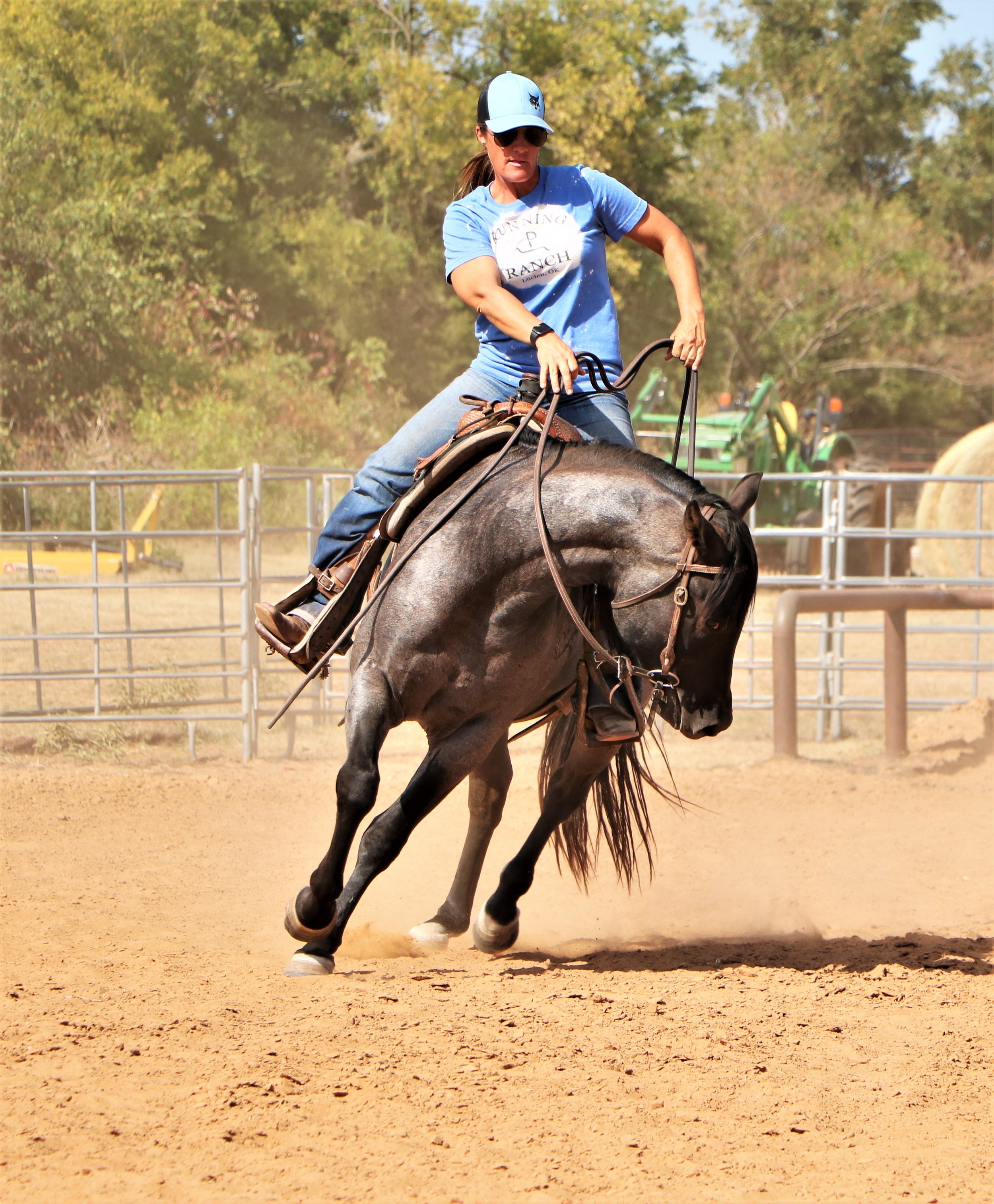 Jr Stallions — Running P Ranch