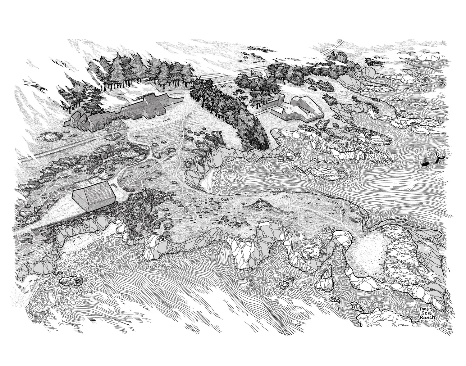 Drawing The Sea Ranch with Procreate — JunJunDrawDraw | Honolulu Hawaii