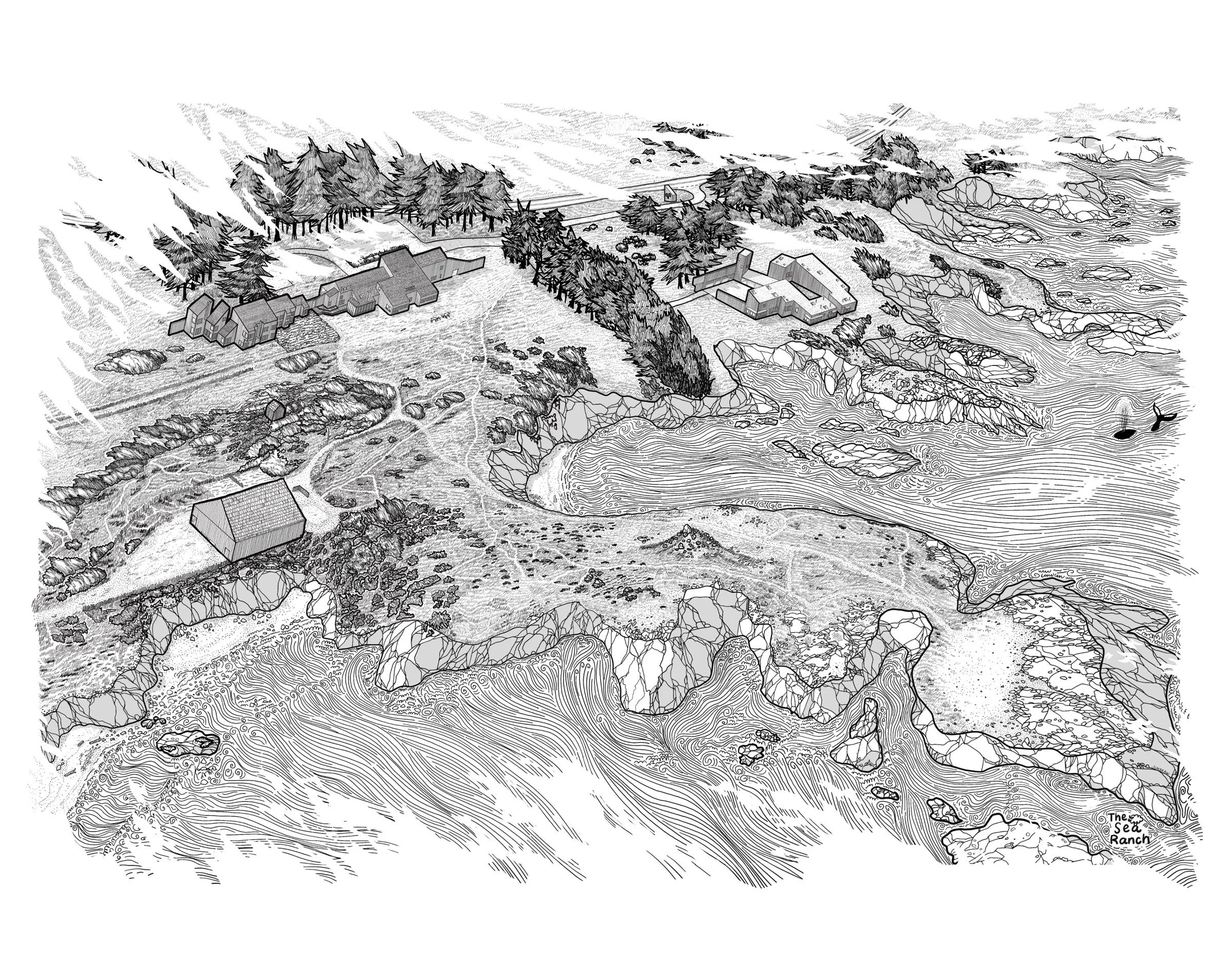 Drawing The Sea Ranch with Procreate — JunJunDrawDraw | Honolulu Hawaii