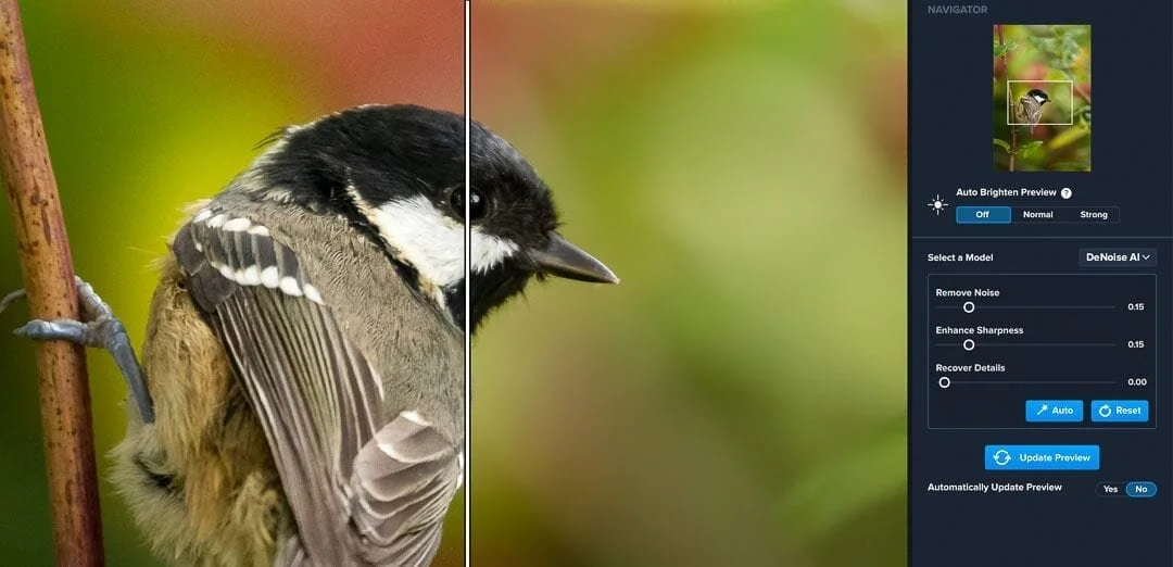 How to Reduce Noise in a Photo | Rescue High ISO Images — Espen Helland ...