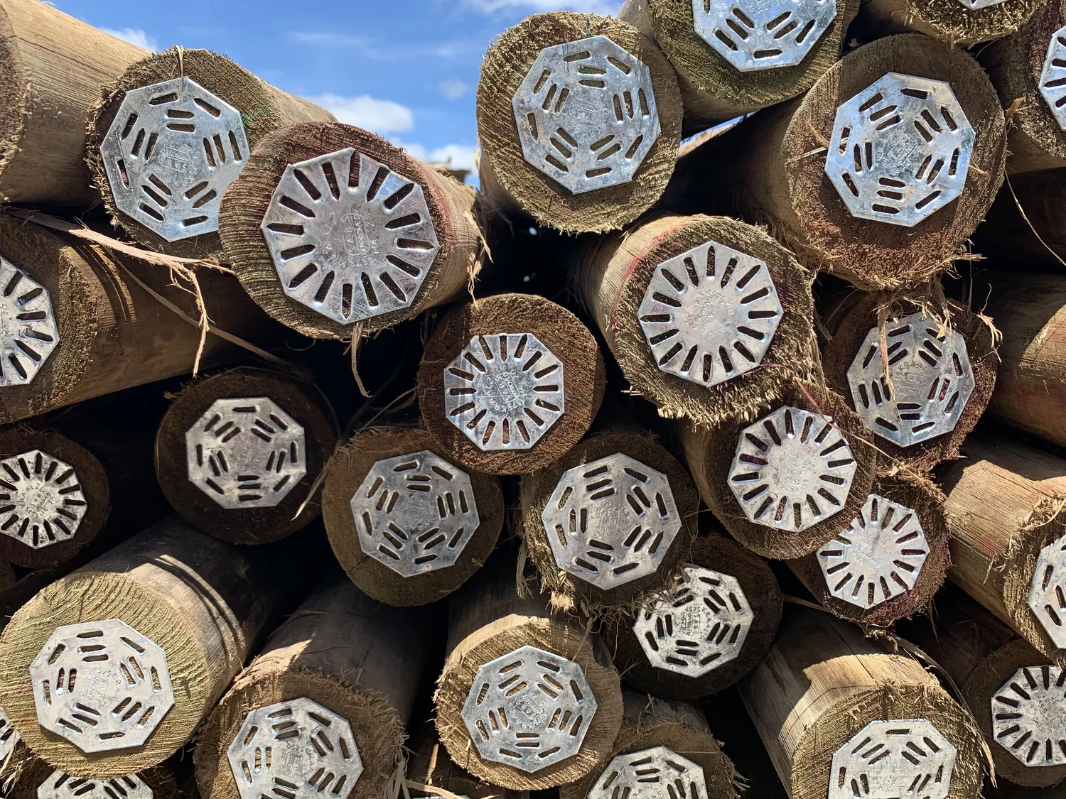 Shock Proof Investments | Explore Our Product Offerings