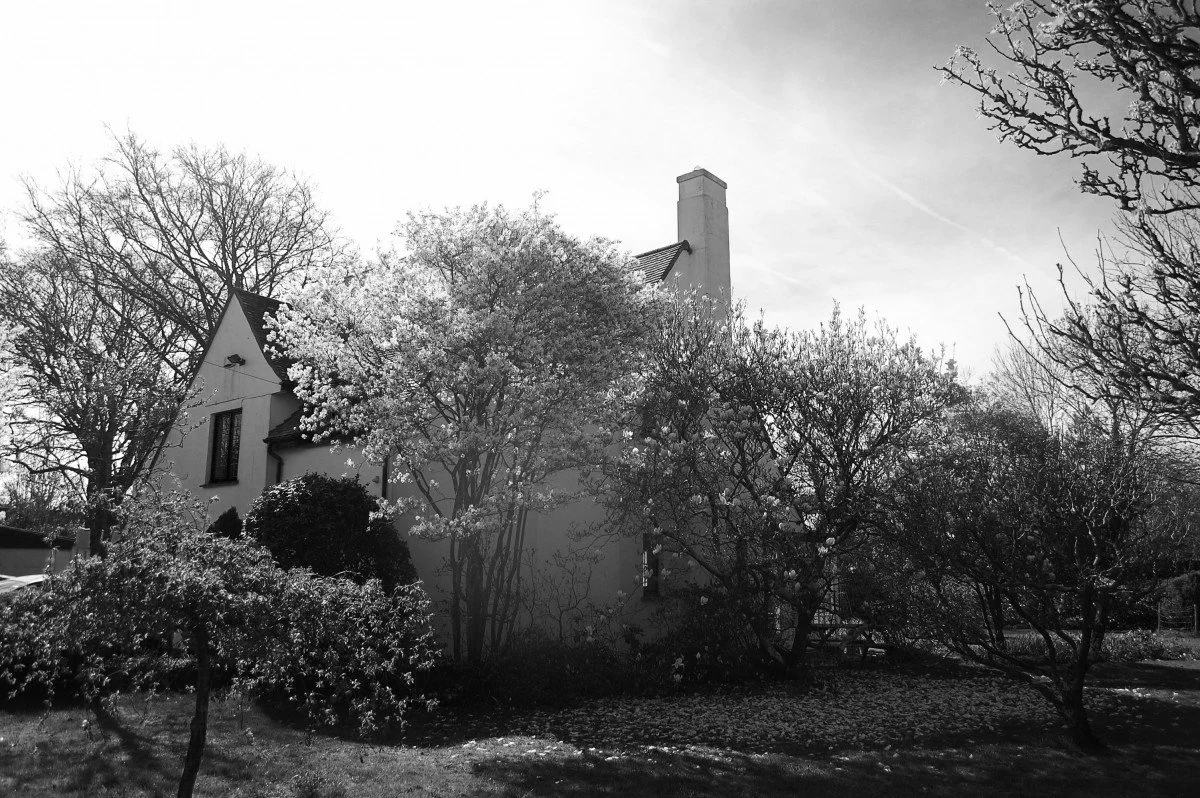 Greengrass, Christchurch, Dorset - Forest Architecture