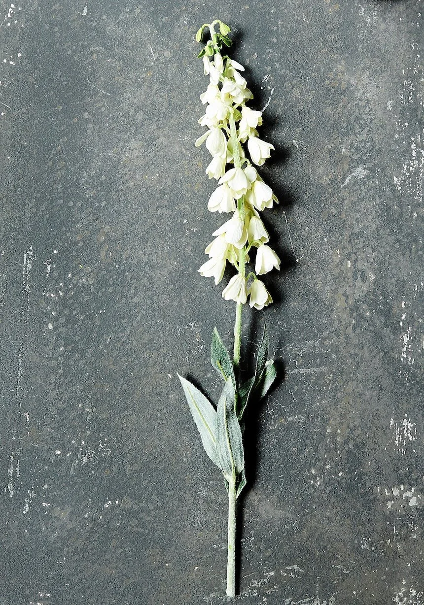 Foxglove Stem — Fox & Beau