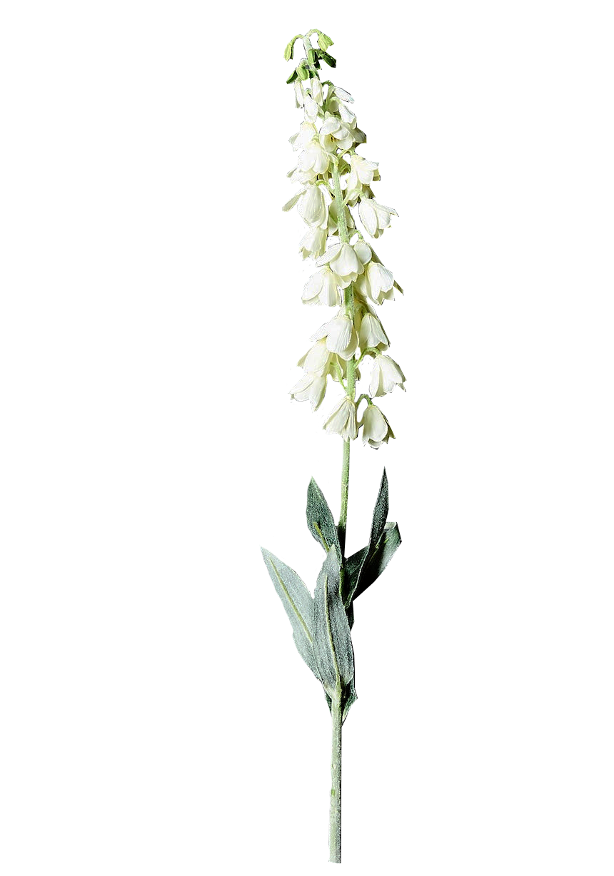 Foxglove Stem — Fox & Beau