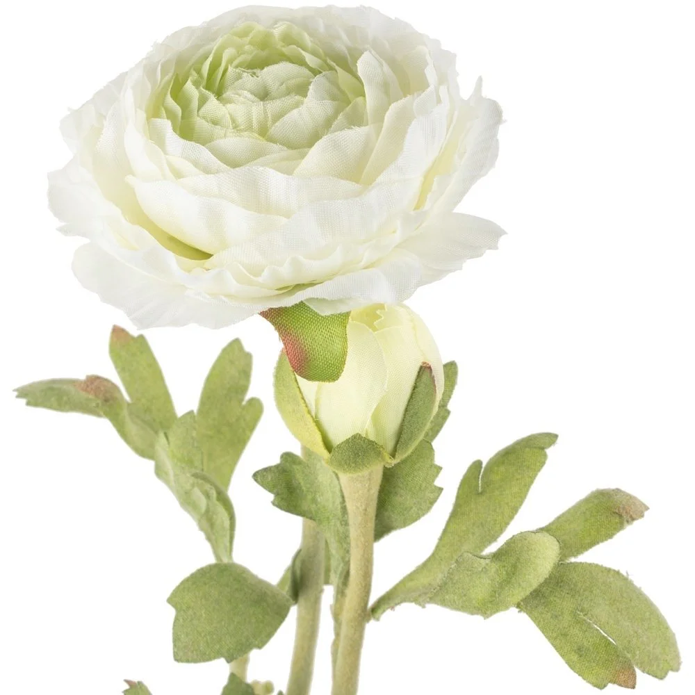 Ranunculus Stem White — Fox & Beau