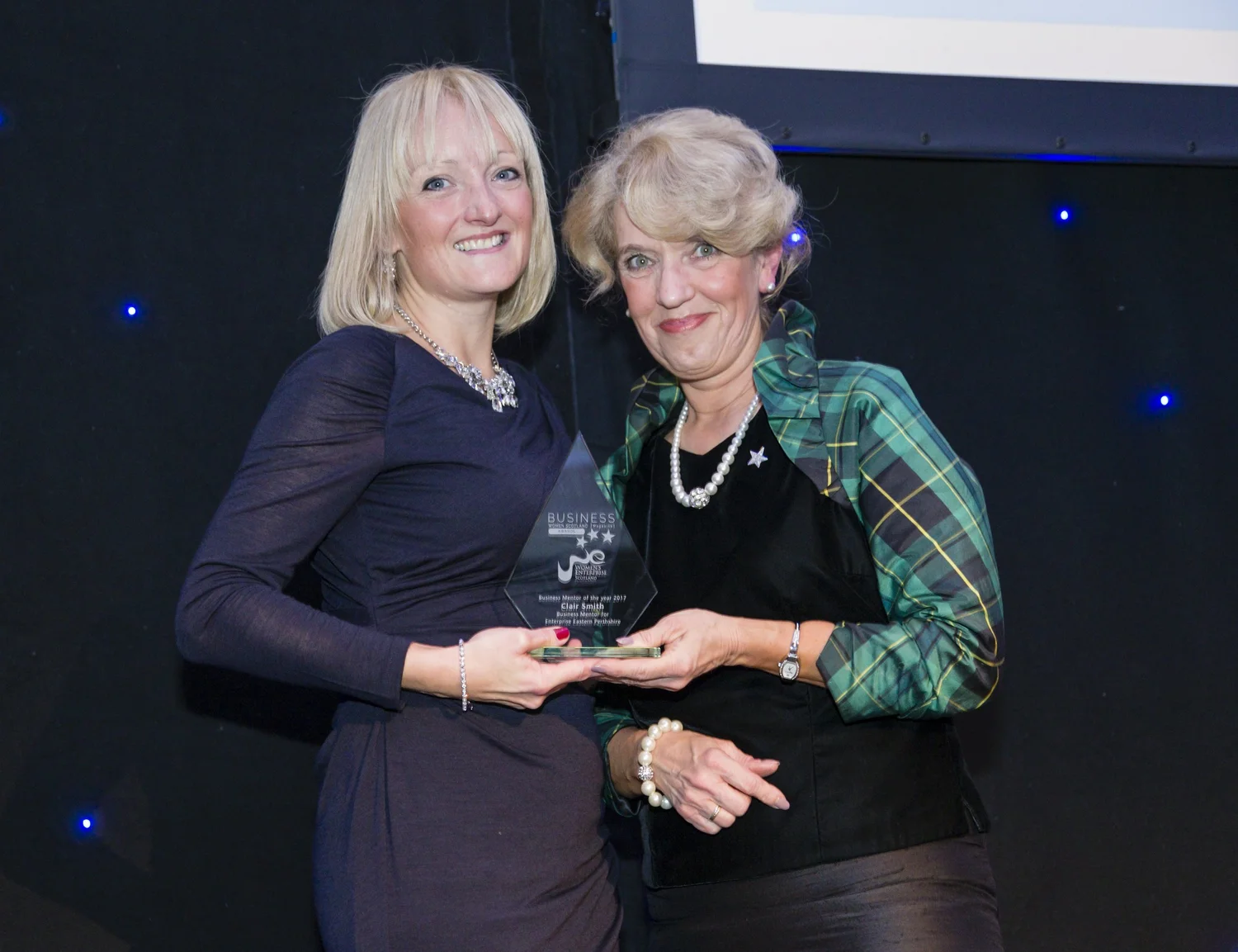 GrowBiz Mentoring Programme — GrowBiz | Free Business Support Services