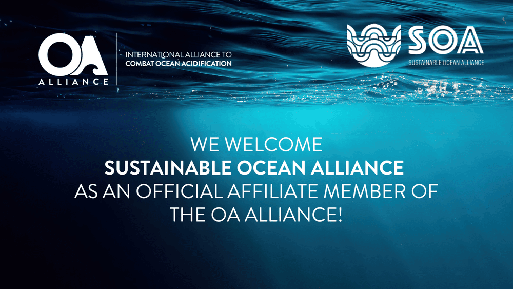 New Member Press Release – Sustainable Ocean Alliance (SOA) — OA Alliance