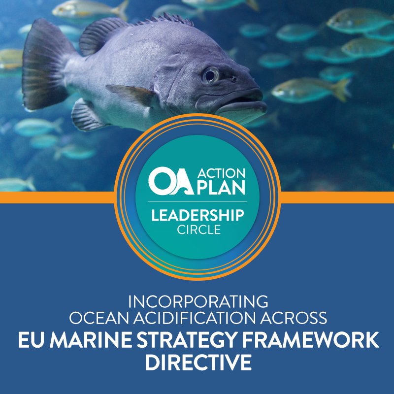 Leadership Circle — OA Alliance