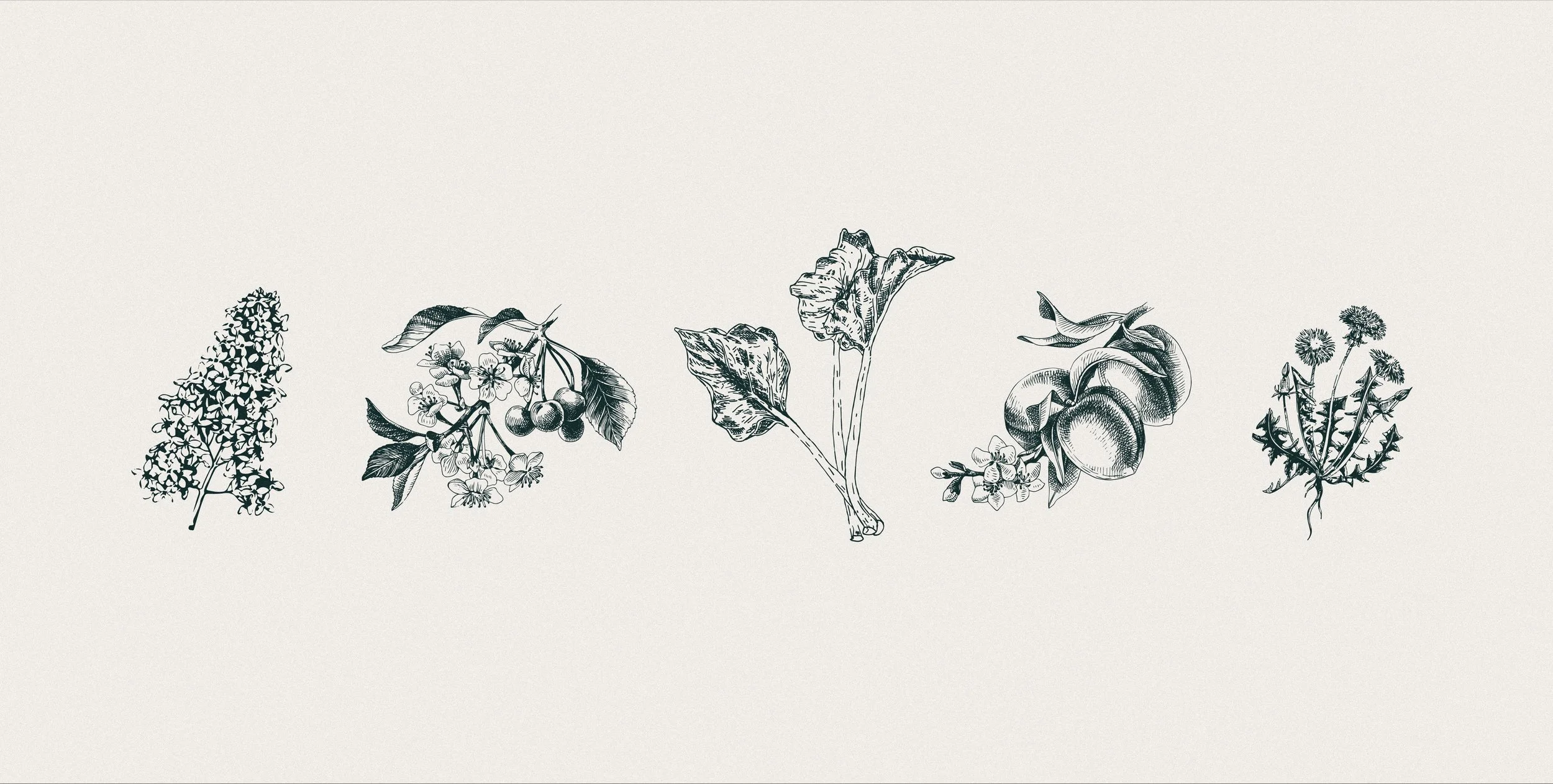 Wildes Saision Series — KYOTO GLOBAL DESIGN AWARDS