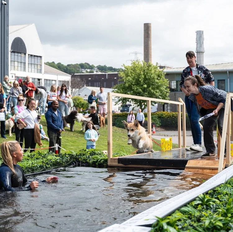 Marina Market Cork