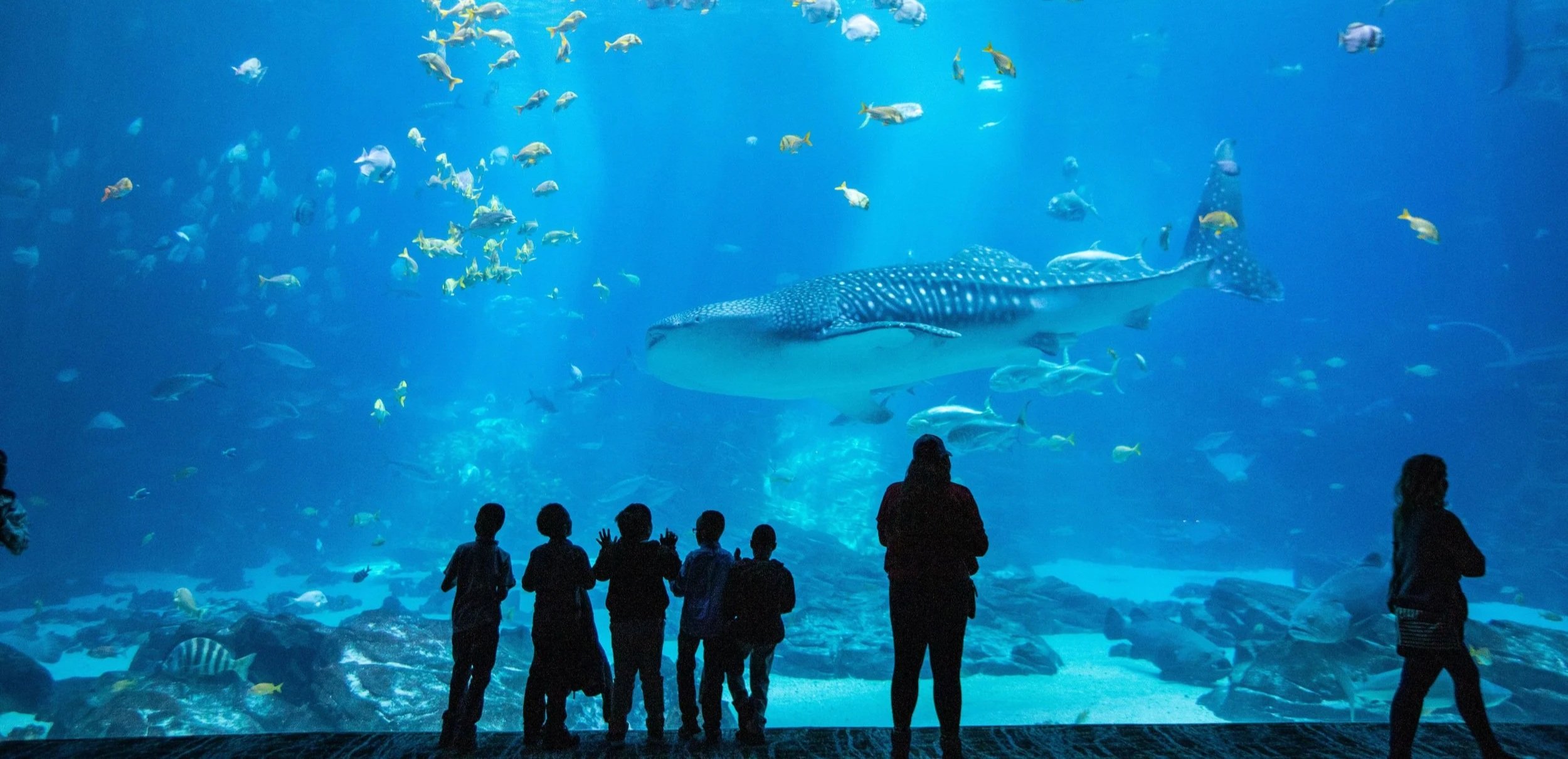 Educational Travel for School Groups and Teen Summer Programs | The ...