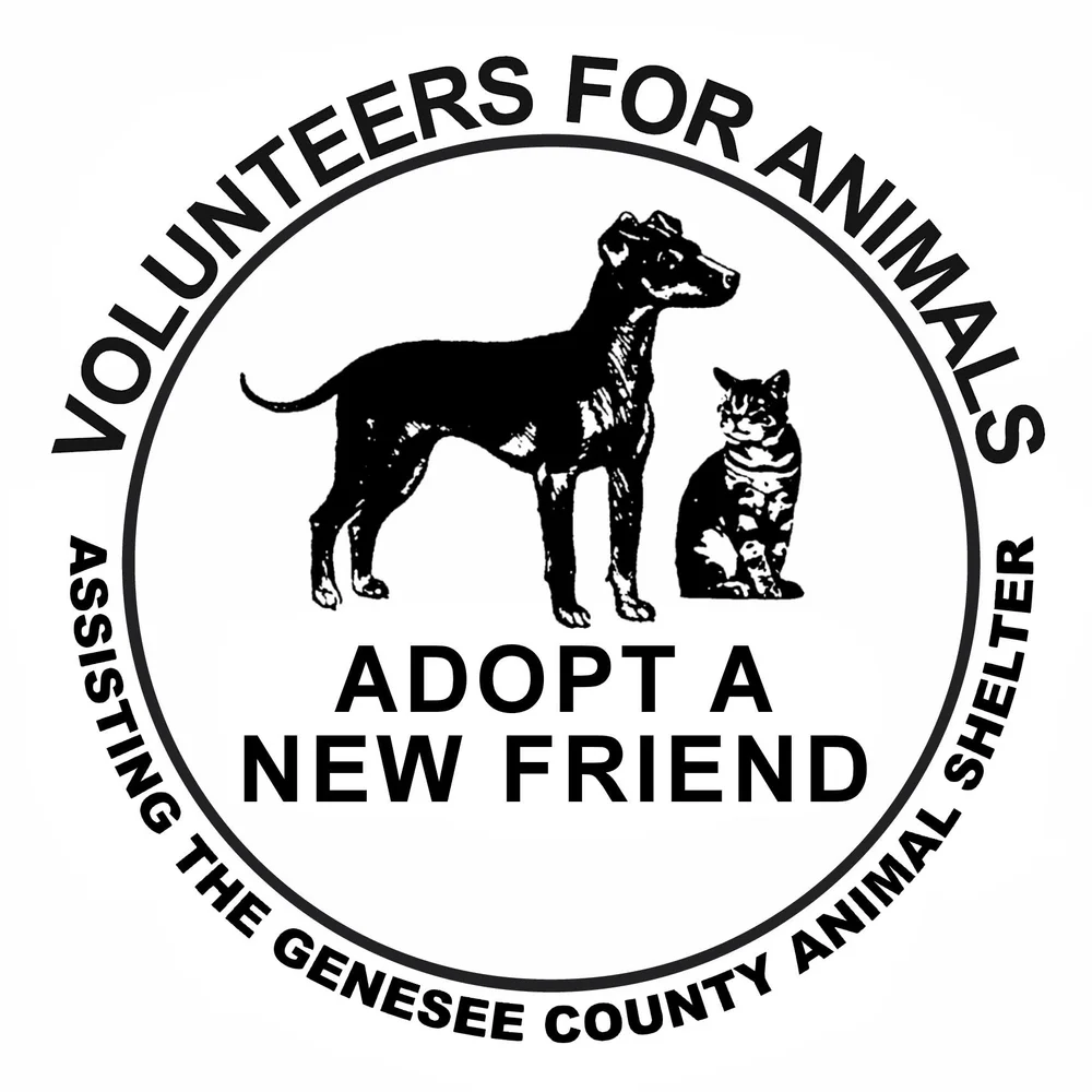 Animal Volunteer Logo