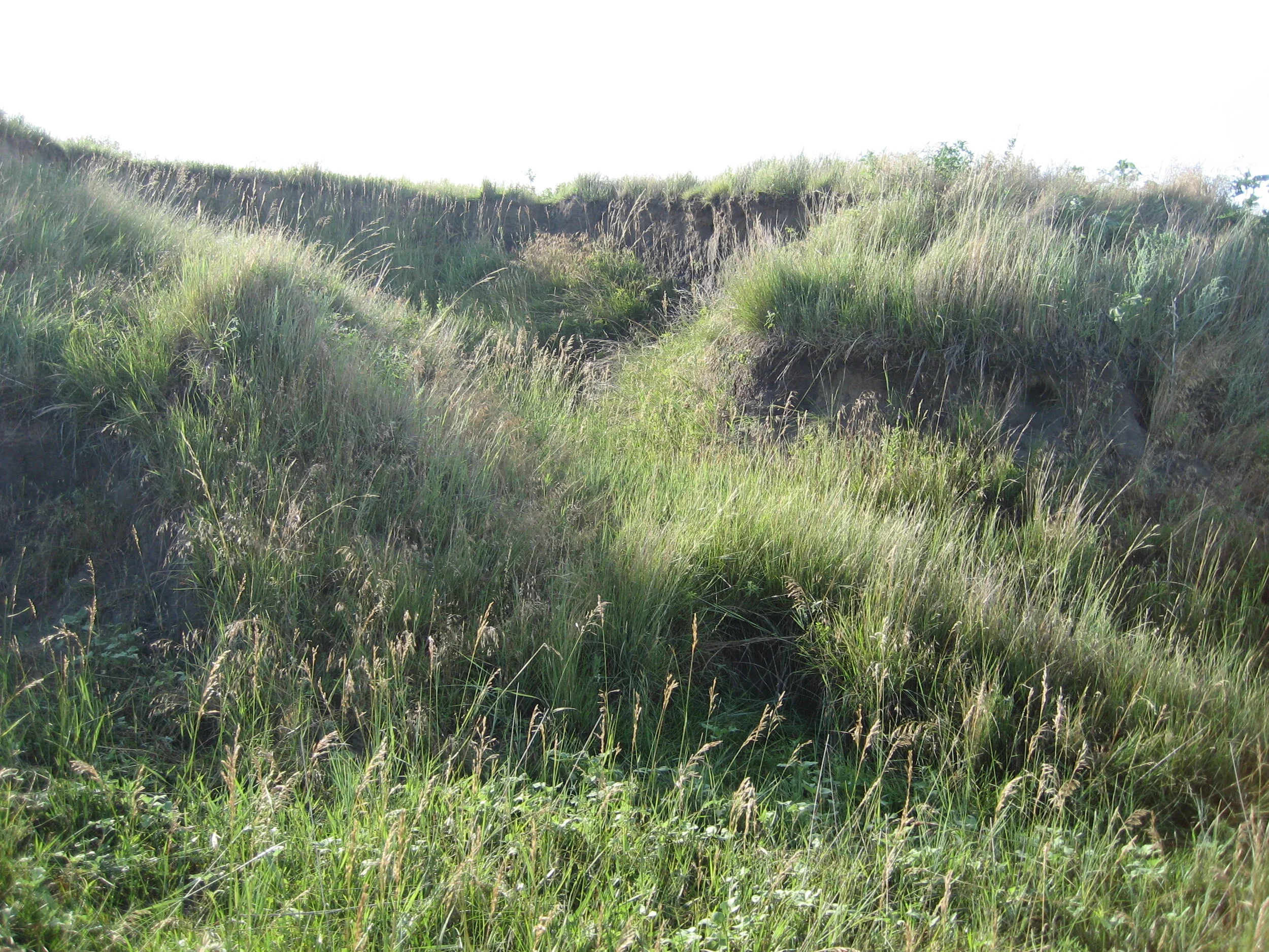 Wellhead Protection — Upper Loup Natural Resources District