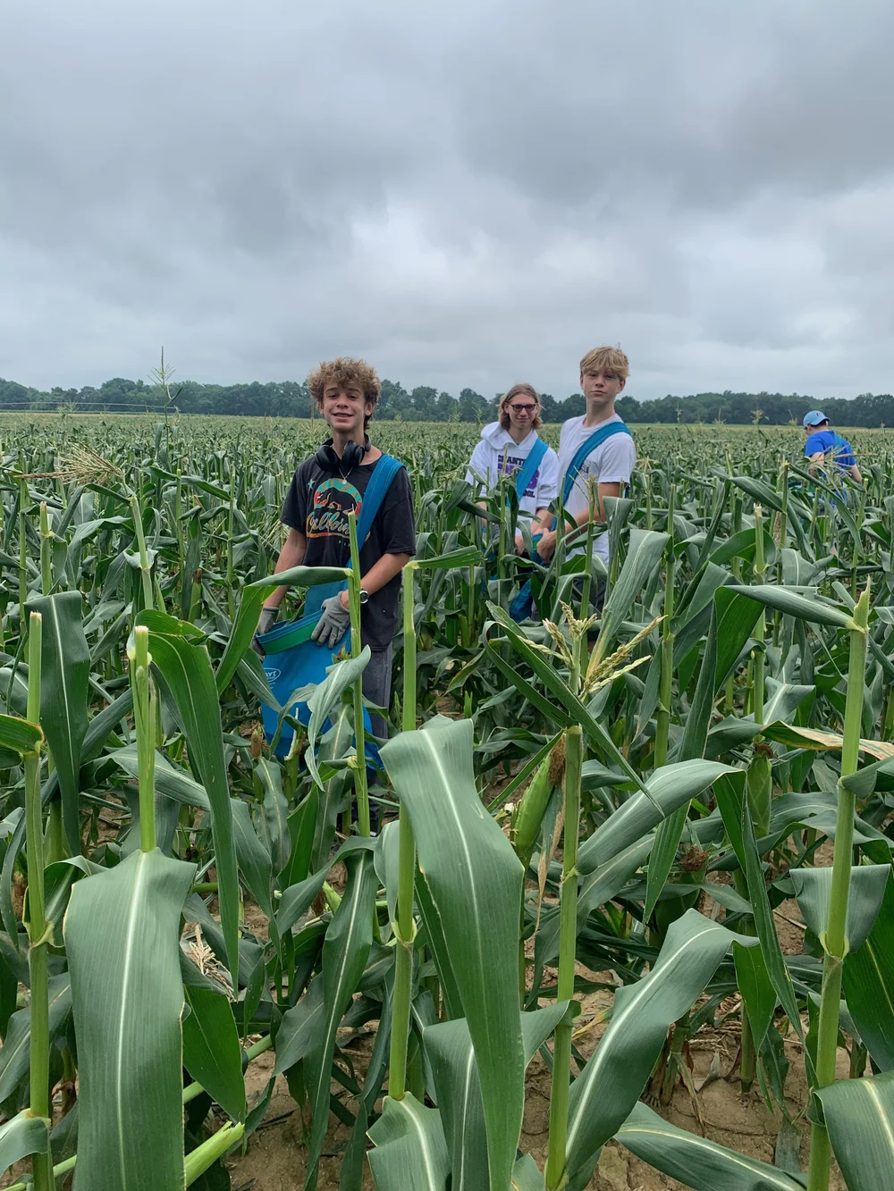 Commissioned by Christ