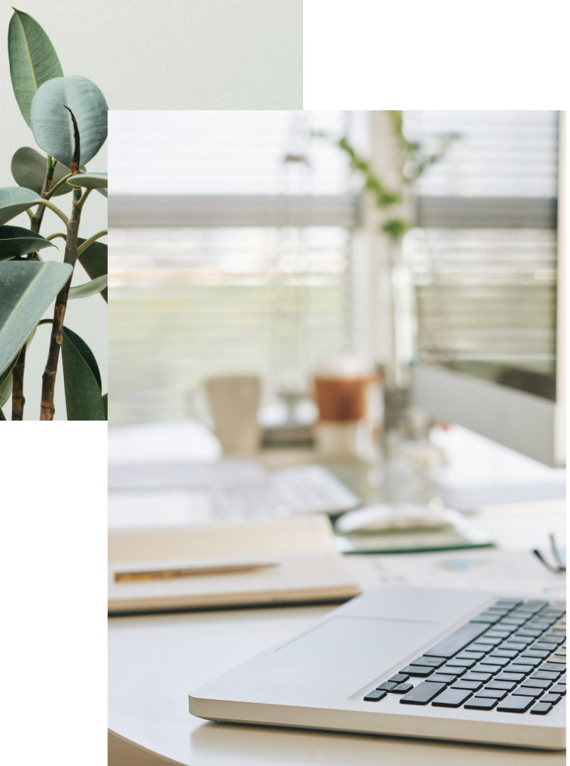 Launch Your Practice — Build Your Private Practice