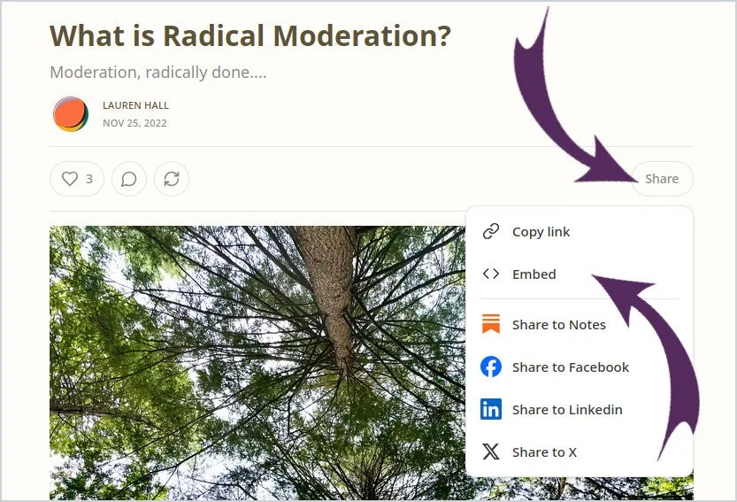 How to Embed Your Substack Feed in Your Squarespace Author Website ...