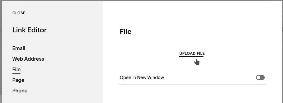 How to Upload a PDF to Your Squarespace Website — Brilliant Author ...