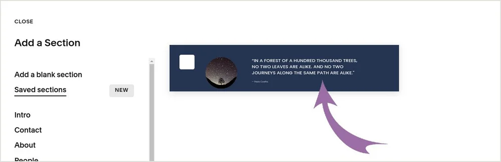 How to Copy a Squarespace Section to Another Page — Brilliant Author Website Design