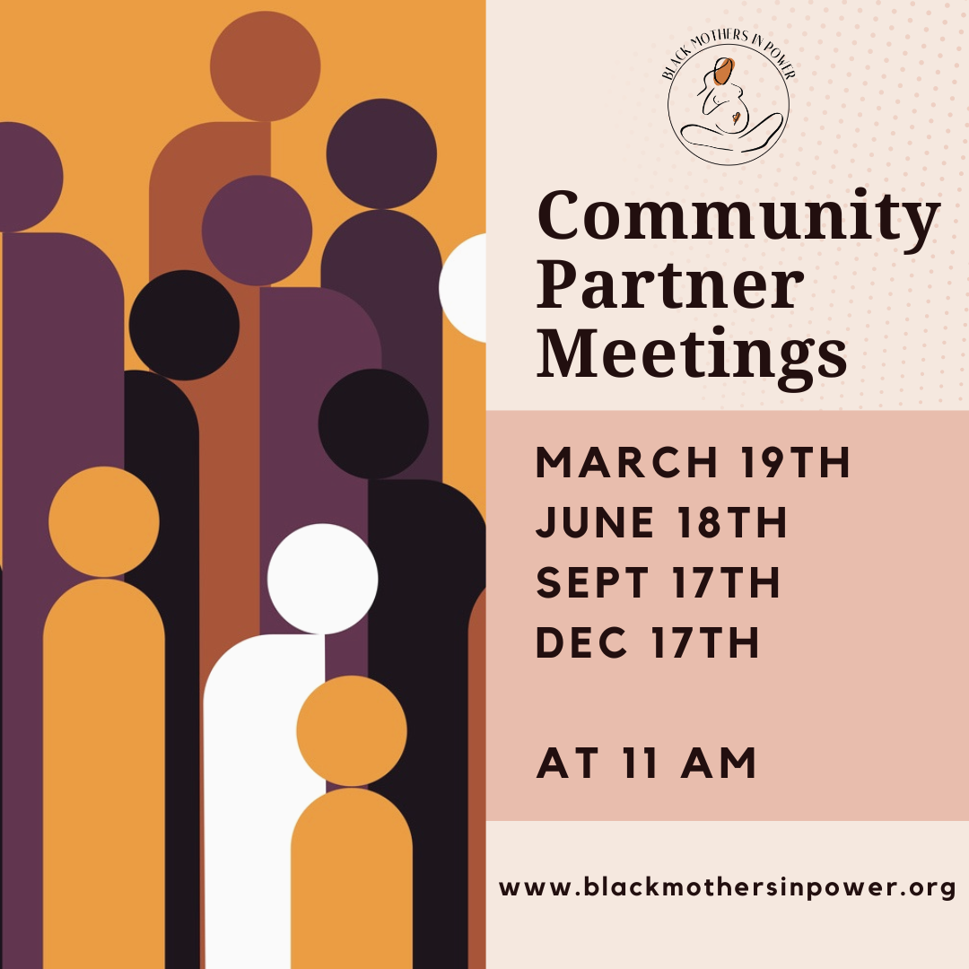 COMMUNITY CONNECTION HUB — Black Mothers in Power