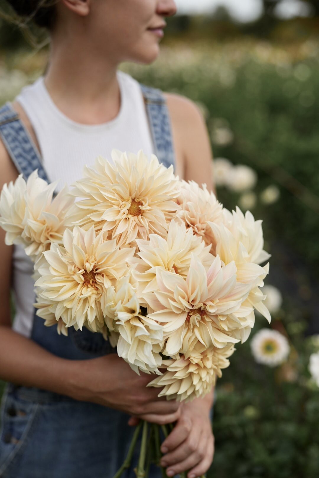 Flowerwell Flower Farm | Dahlia Tuber Shop | Dahlia Bloomquist York ...