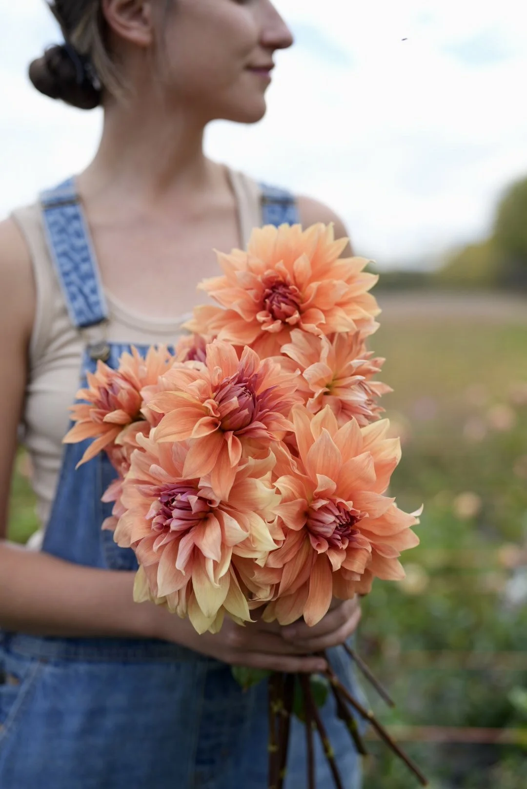 Flowerwell Flower Farm | Dahlia Tuber Shop | Dahlia Mocha Katie ...