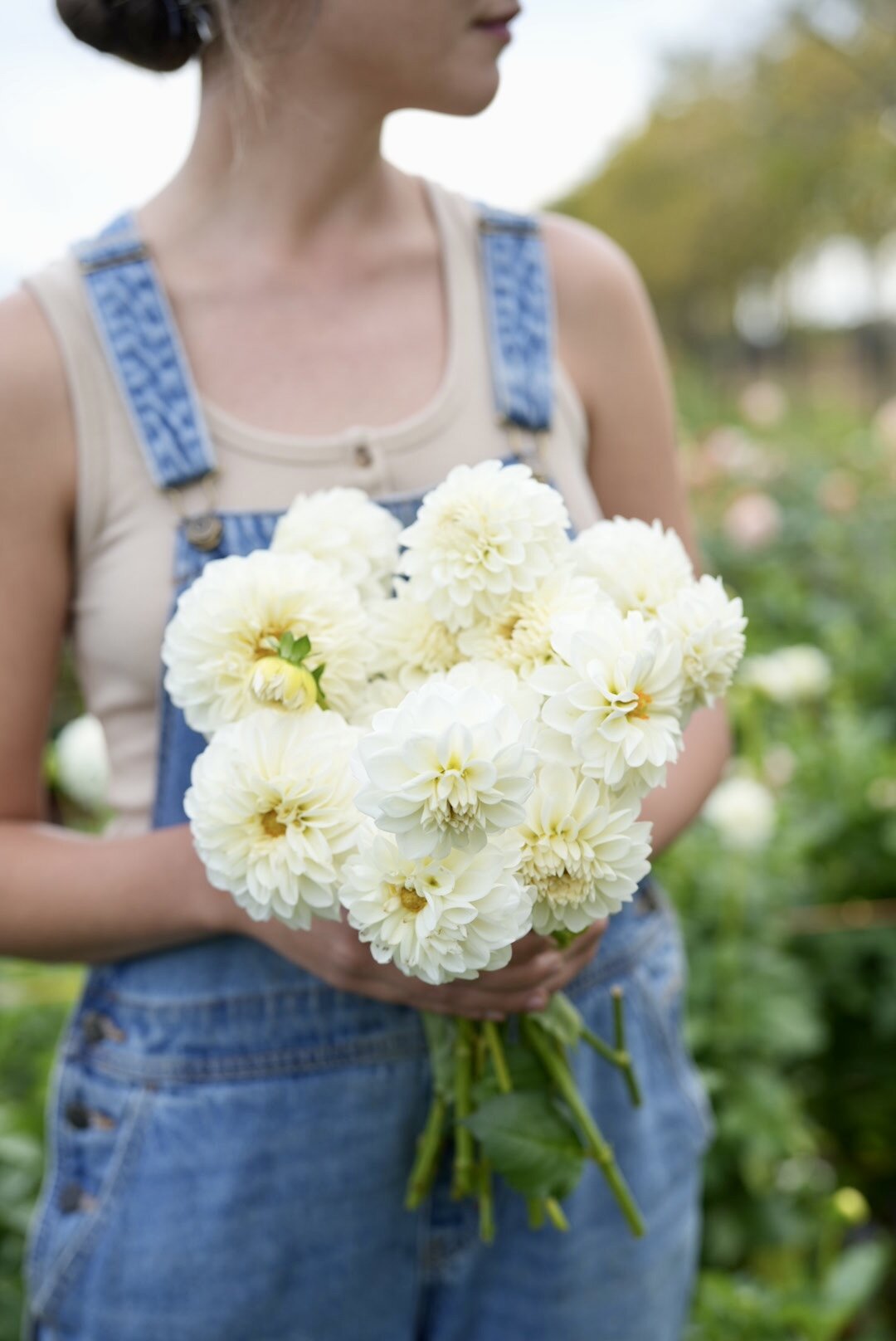 Flowerwell Flower Farm | Dahlia Tuber Shop | Dahlia Bloomquist Mojo ...
