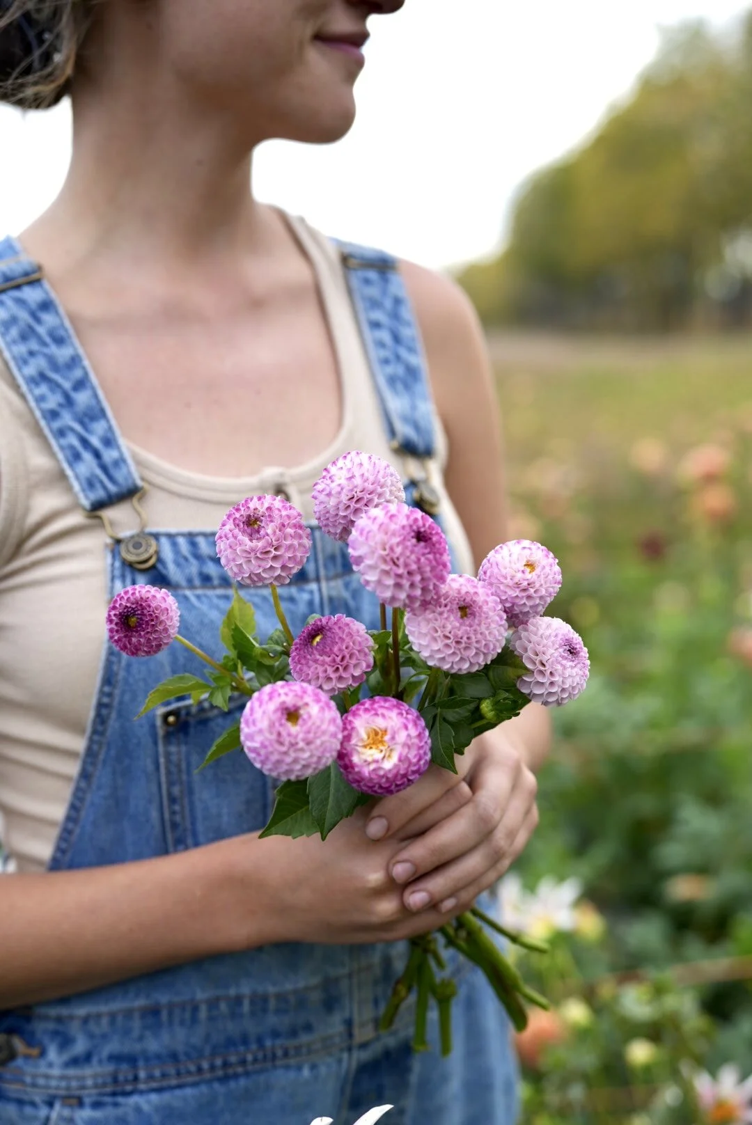 Flowerwell Flower Farm | Dahlia Tuber Shop | Dahlia Bloomquist Mojo ...