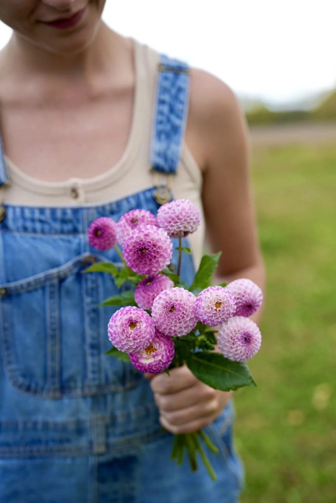 Flowerwell Flower Farm | Dahlia Tuber Shop | Dahlia Bloomquist Mojo ...