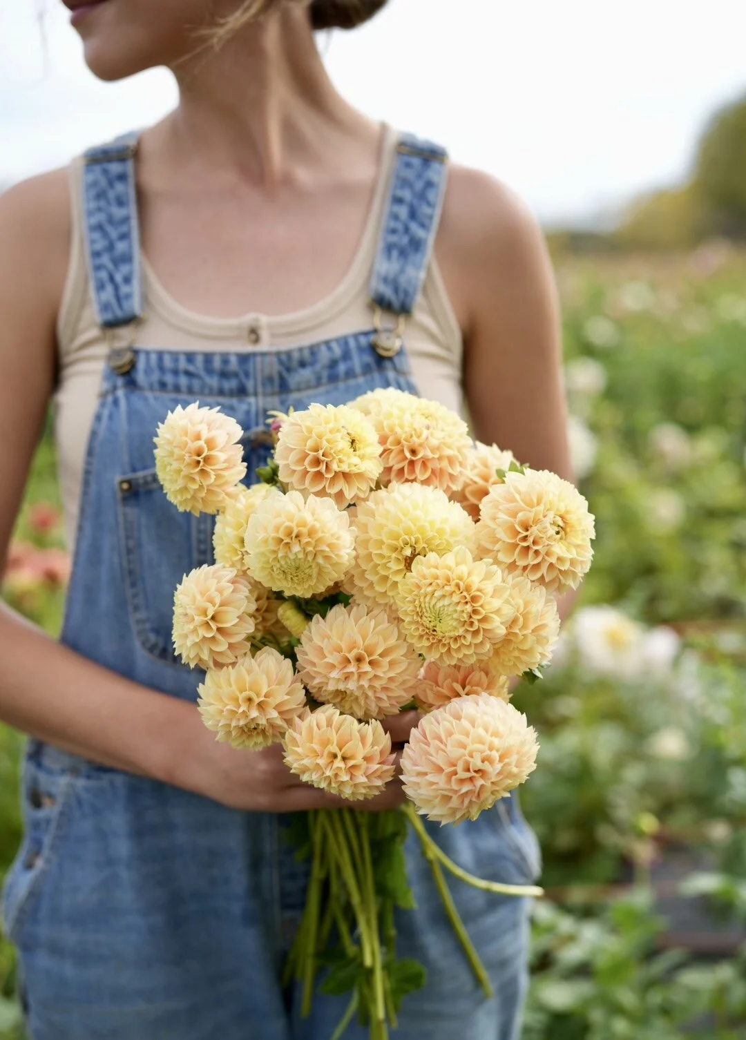 Flowerwell Flower Farm | Dahlia Tuber Shop | Dahlia Bloomquist Mojo ...