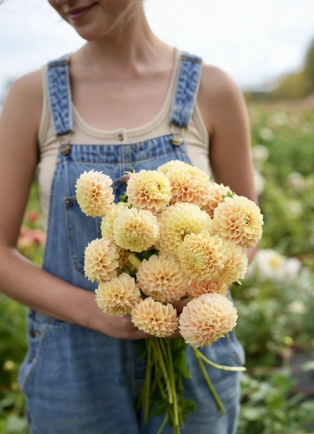 Flowerwell Flower Farm | Dahlia Tuber Shop | Dahlia Bloomquist Mojo ...