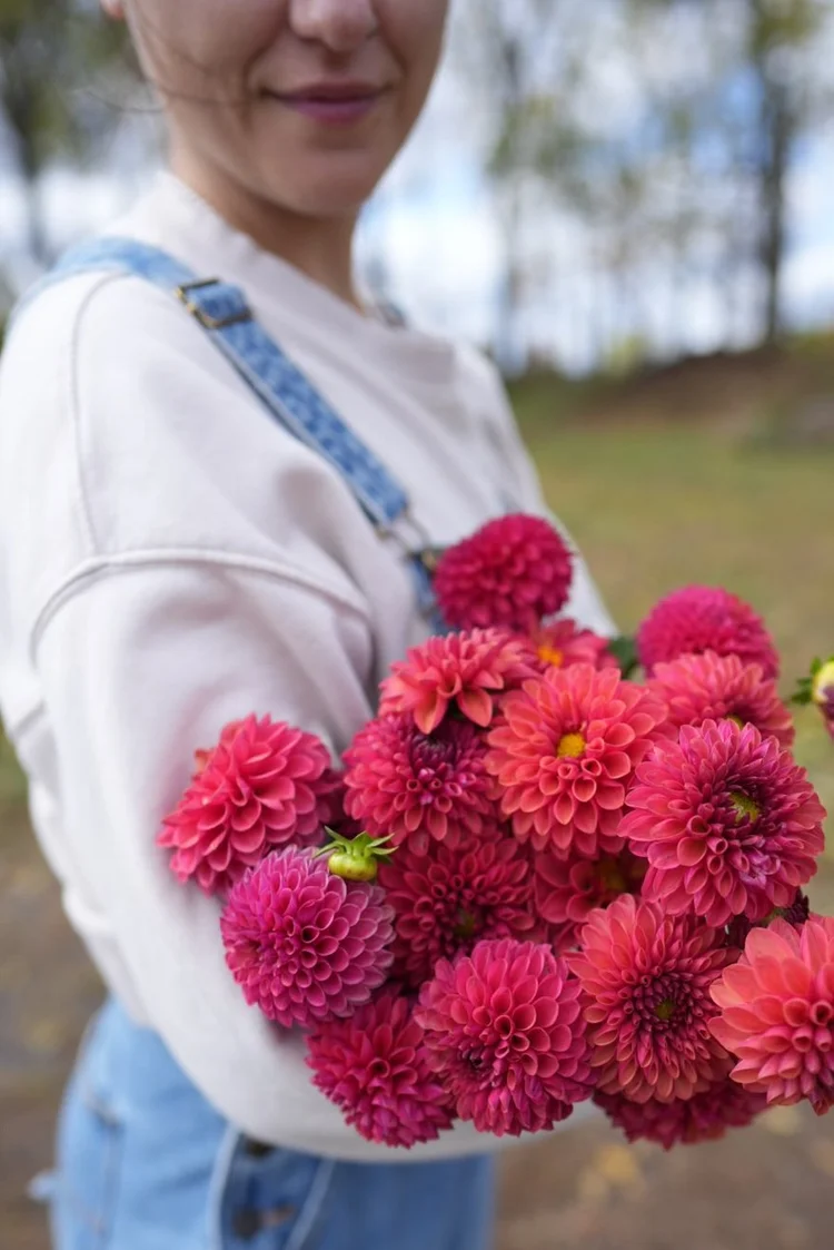 Flowerwell Flower Farm | Dahlia Tuber Shop | Dahlia Valley Tawney ...