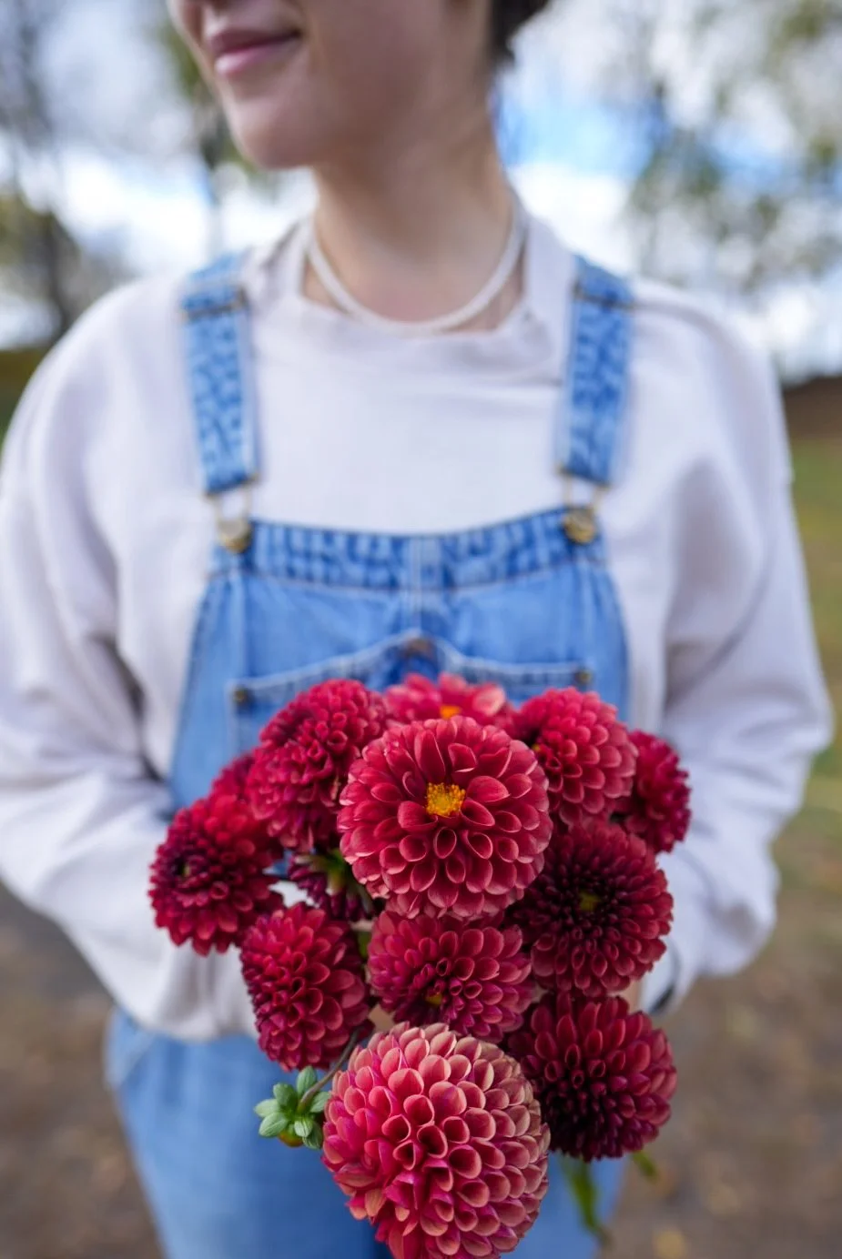 Flowerwell Flower Farm | Dahlia Tuber Shop | Dahlia Bloomquist York ...