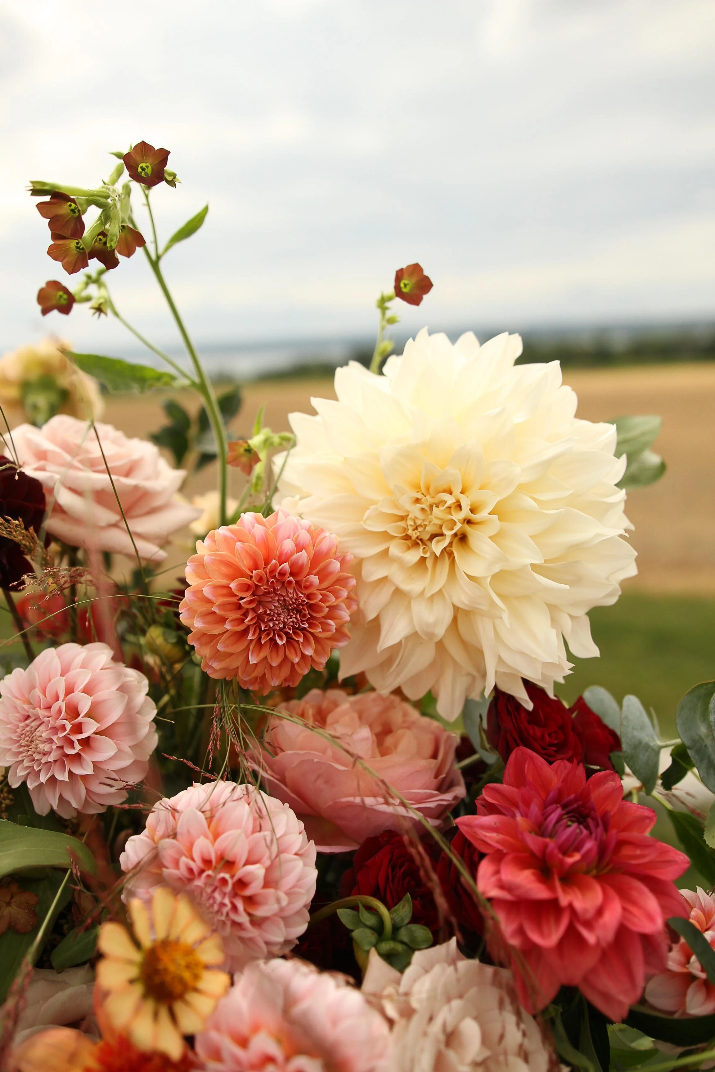 Fall Flowers In Season - Fall Wedding Flowers | Flowerwell | Flowerwell
