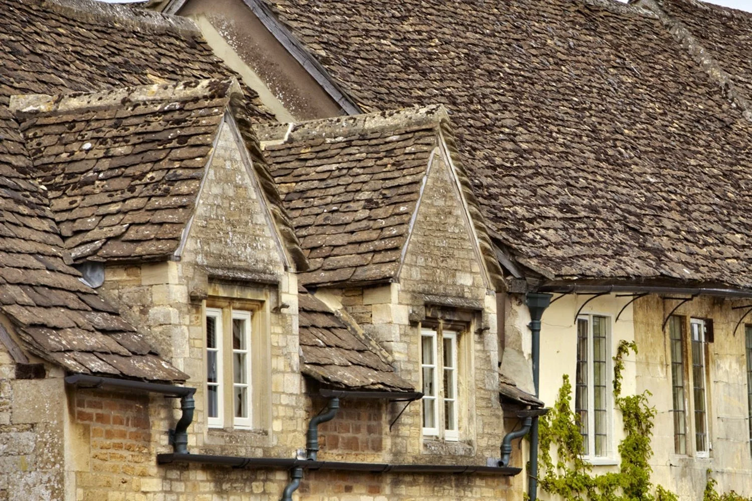 Things to do in and Around Avebury this Summer — The Farm at Avebury