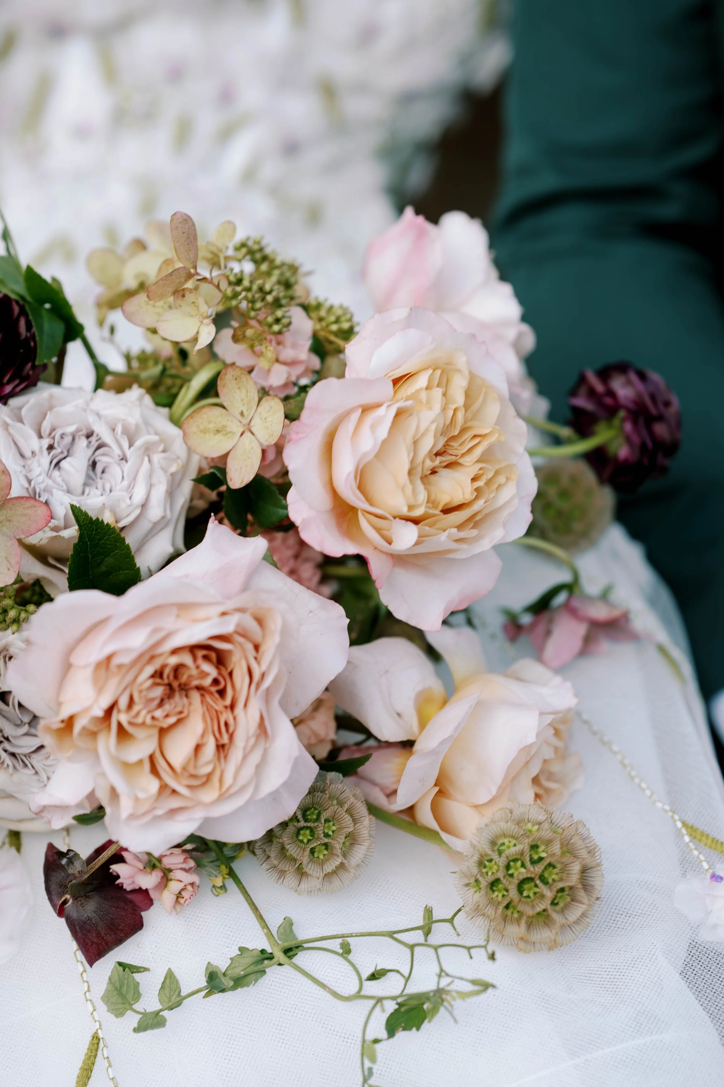 Jessica Schumaker Photography