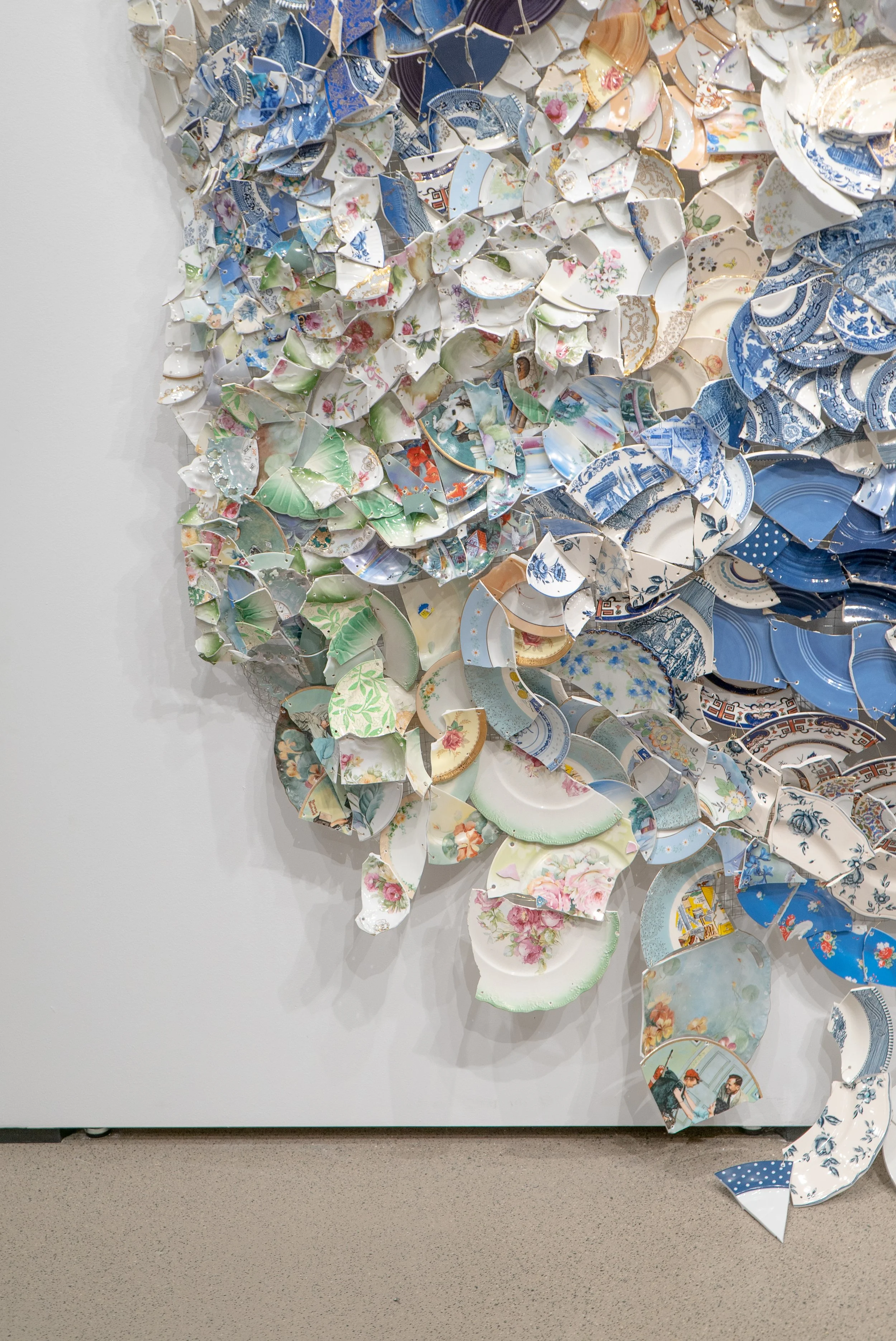 Portfolio — Delaina Doshi