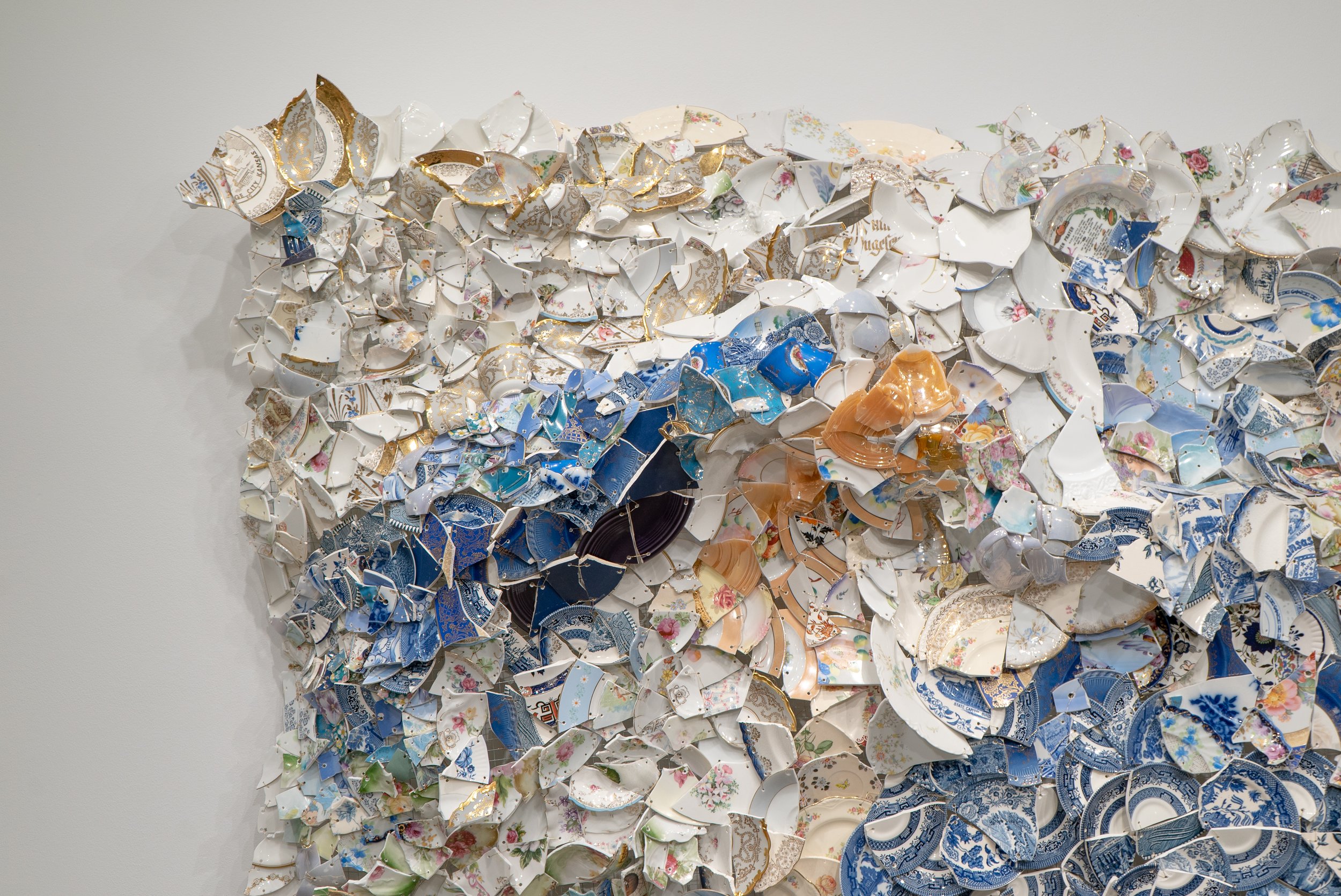 Portfolio — Delaina Doshi